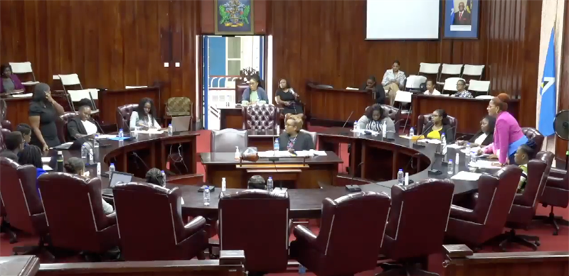 Saint Lucia News - Caribbean Women in Leadership host mock parliament